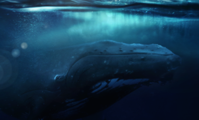 FATHOM - Review - We Are Movie Geeks