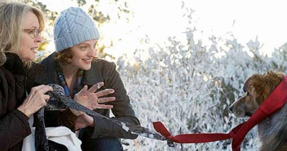 DARLING COMPANION - The Review - We Are Movie Geeks